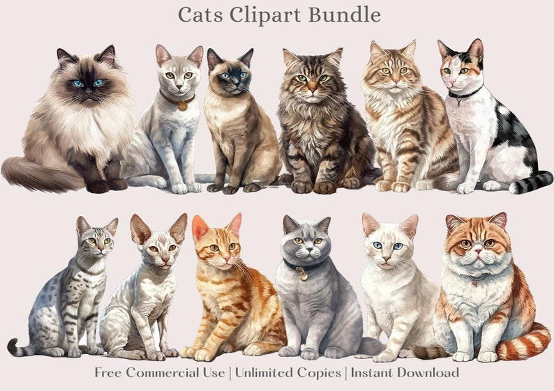 Cat Clipart Bundle, Cat Breeds PNG Images, Watercolor Cat Clipart, Cat ...