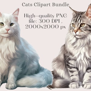 Cat Clipart Bundle, Cat Breeds PNG Images, Watercolor Cat Clipart, Cat ...