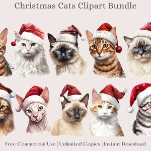 Christmas Cats Clipart Bundle, Cat Breeds PNG, Watercolor Cat Clipart ...