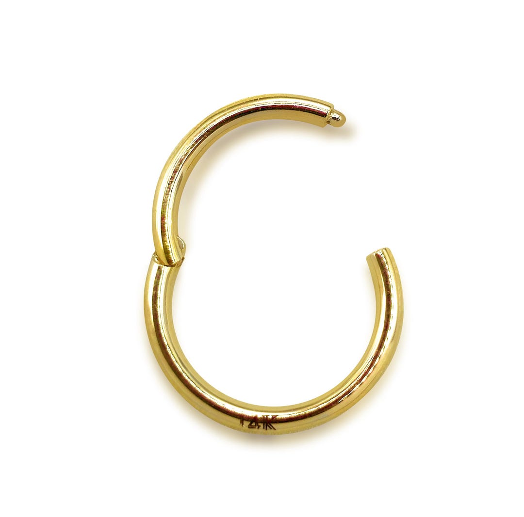 14K Gold Hinged Segment Ring: Septum, Nose, Lip, Cartilage Piercing ...