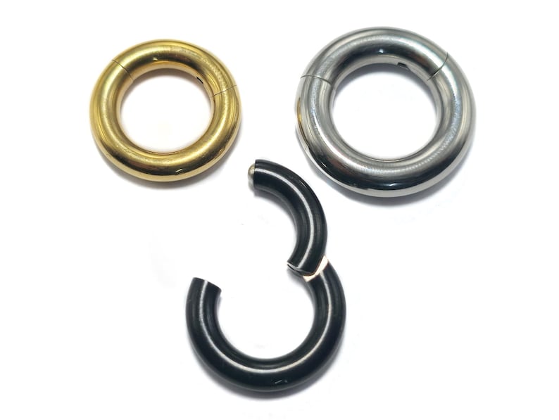 Titanium Prince Albert Piercing Segment Ring 12G 10G 8G 6G 4G 2G 1G 0G ...