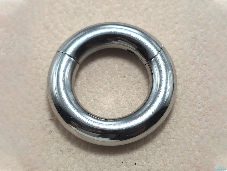 Titanium Prince Albert Piercing Segment Ring 12G 10G 8G 6G 4G 2G 1G 0G ...