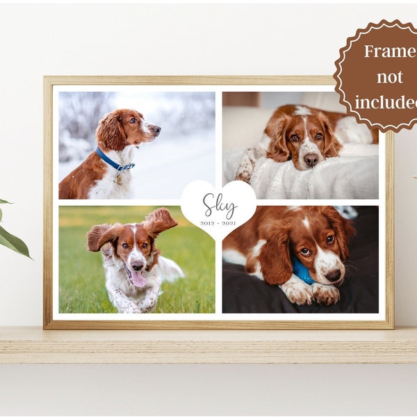 Pet Photo Collage - Etsy UK