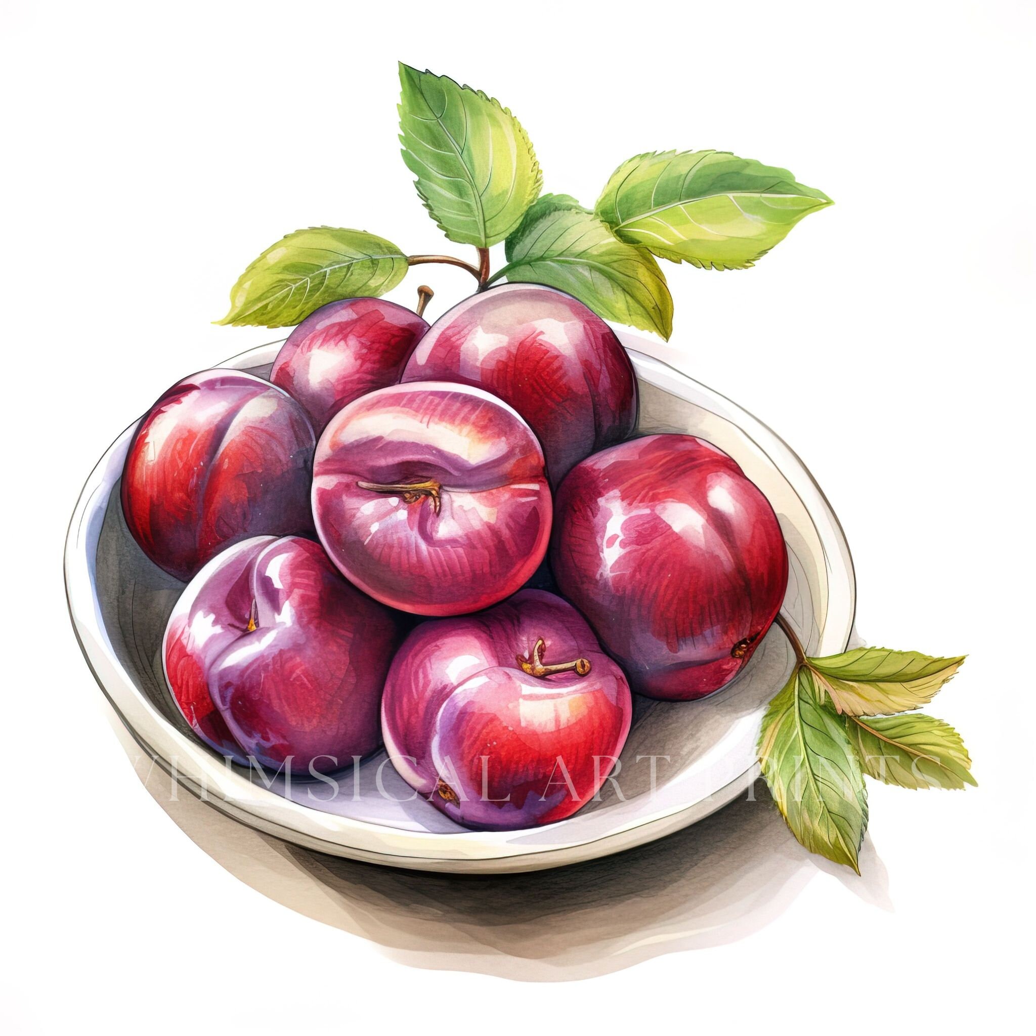 Plum Fruit Clipart, Plums in Basket, Plum Juice Clipart, Fruit ...