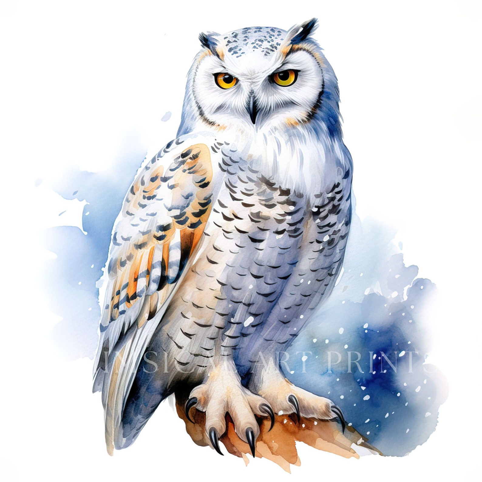 Snowy Owl Clipart, Bird Clipart, Watercolor Snowy Owls, Owls ...