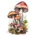 Watercolor Mushroom Clipart: Woodland Illustration (PNG JPG Digital ...