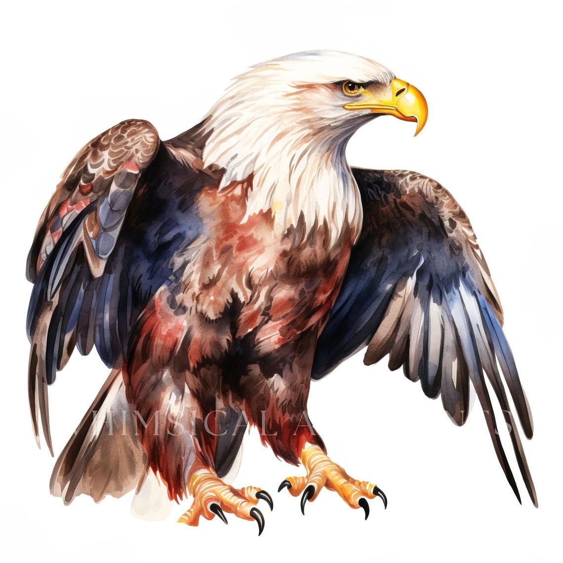 Bald Eagle Clipart, Bird Clipart, Watercolor Bald Eagle, Symbol Eagle ...