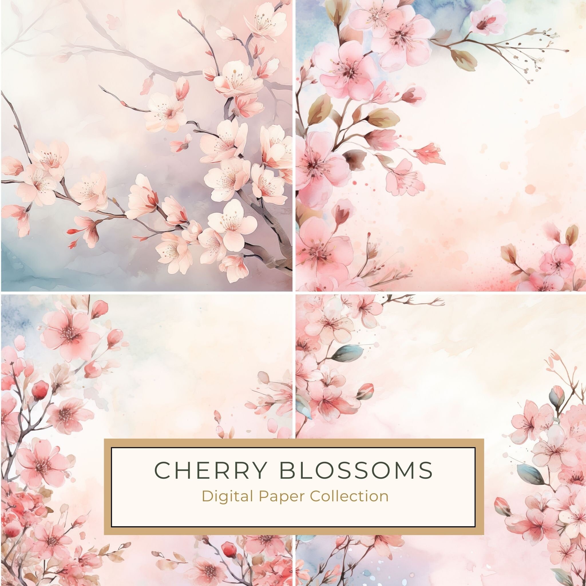 Sakura, Cherry Blossoms Digital Paper, Background Graphics, Watercolor ...