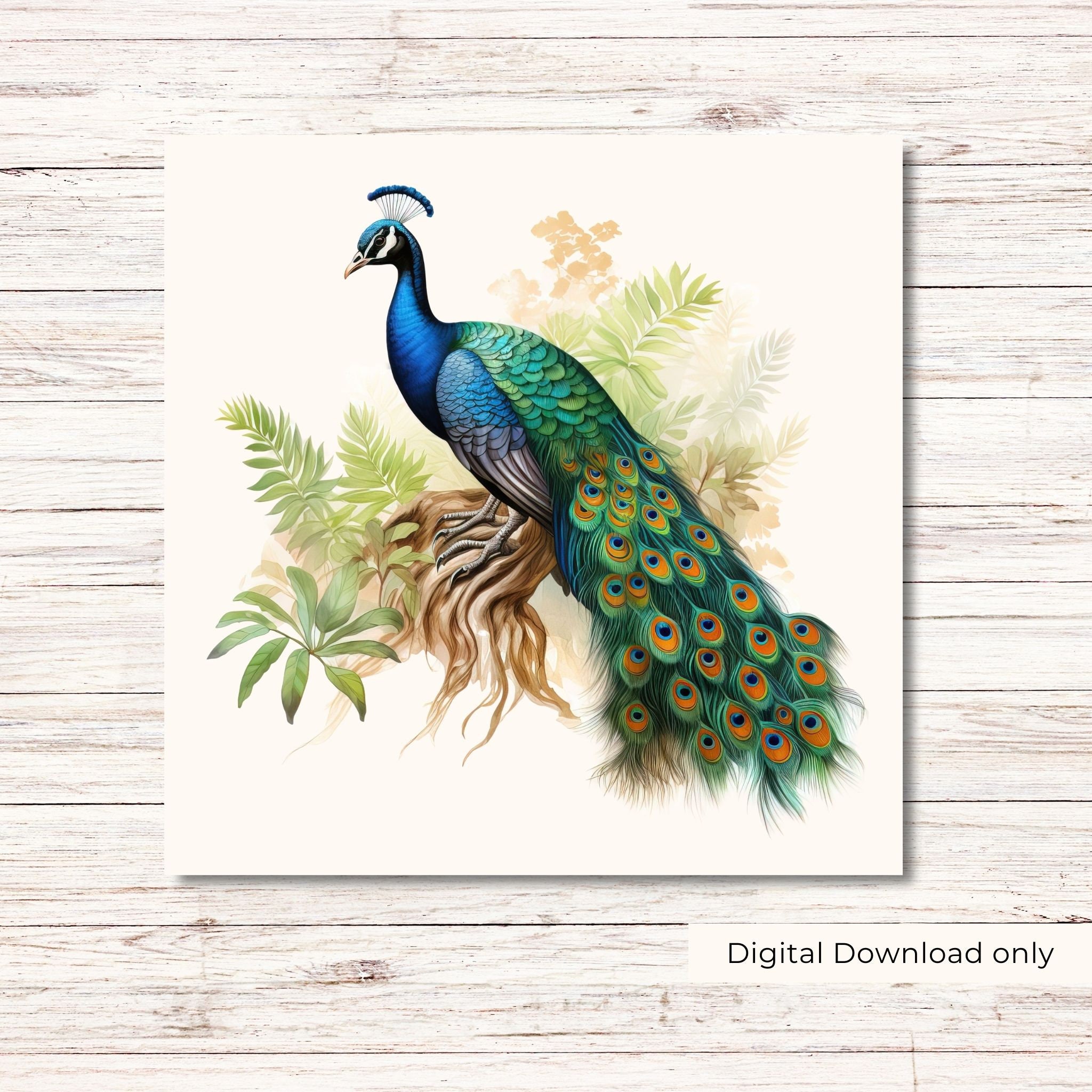 Watercolor Peacock Clipart: Tropical Floral Bird Art (digital Download ...