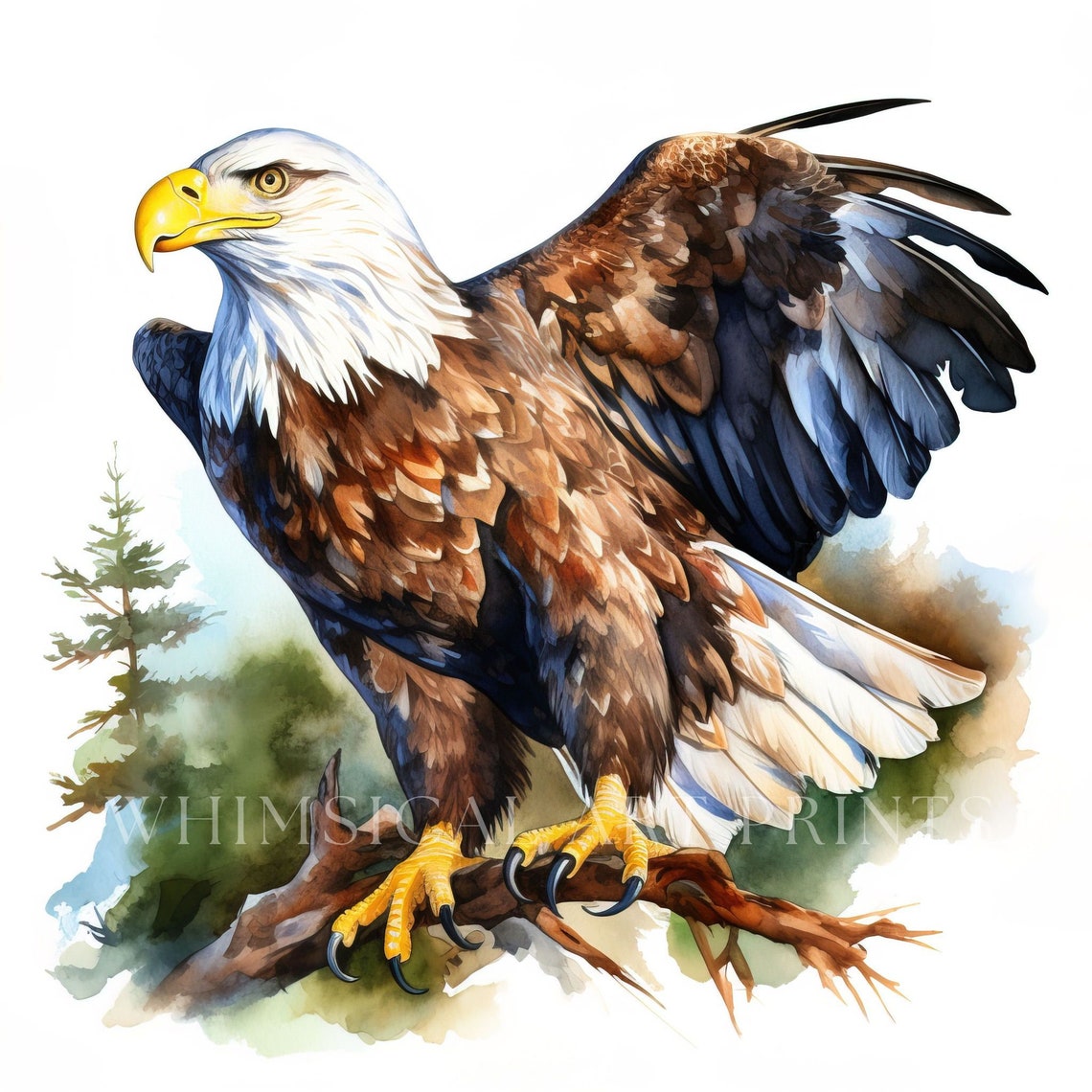 Bald Eagle Clipart, Bird Clipart, Watercolor Bald Eagle, Symbol Eagle ...