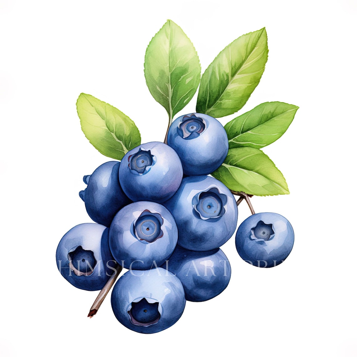 Blueberries Clipart, Blueberry in a Basket, Berries Clipart, Watercolor ...