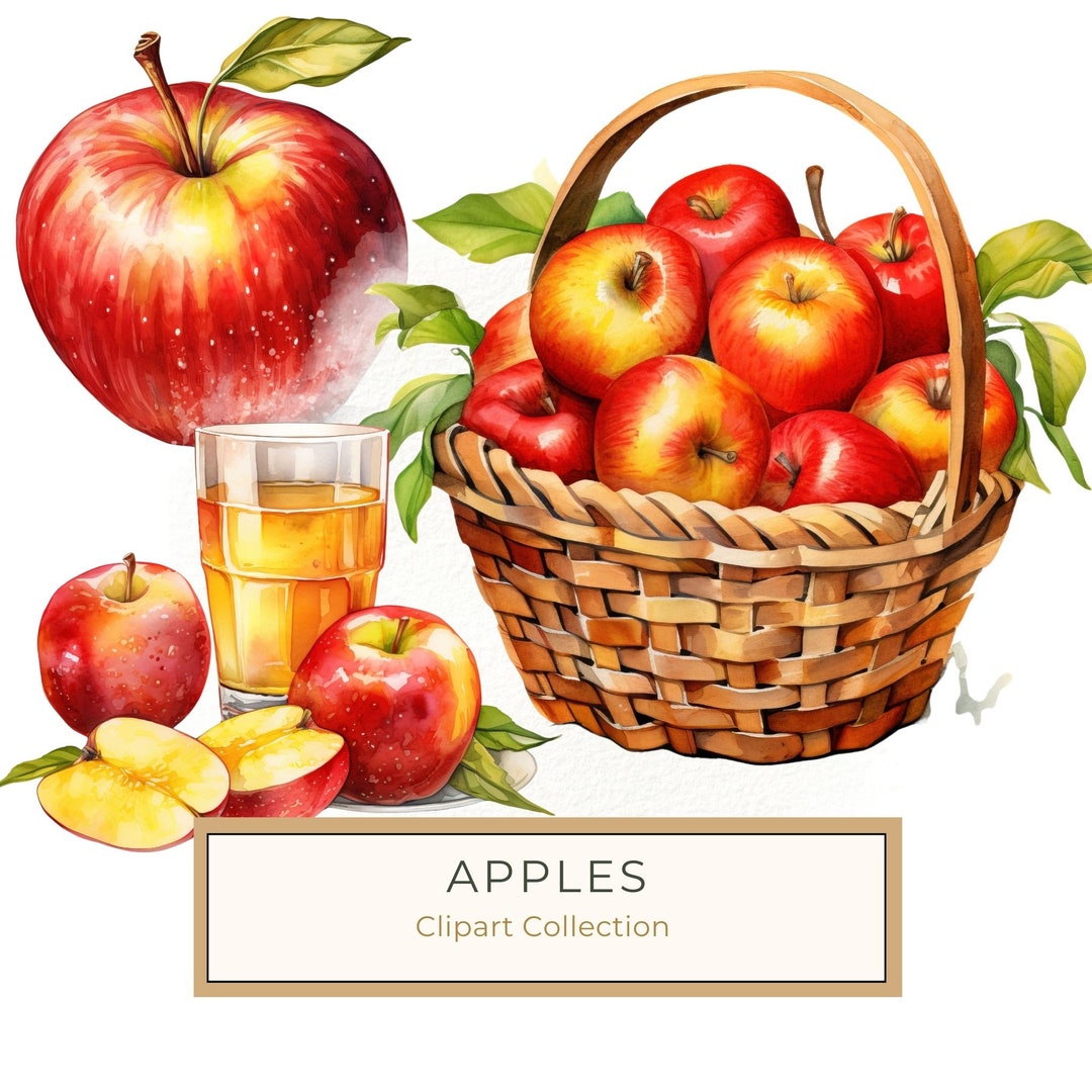 Watercolor Apple Clipart: Red Apples in Basket (PNG JPG, 300dpi) - Etsy
