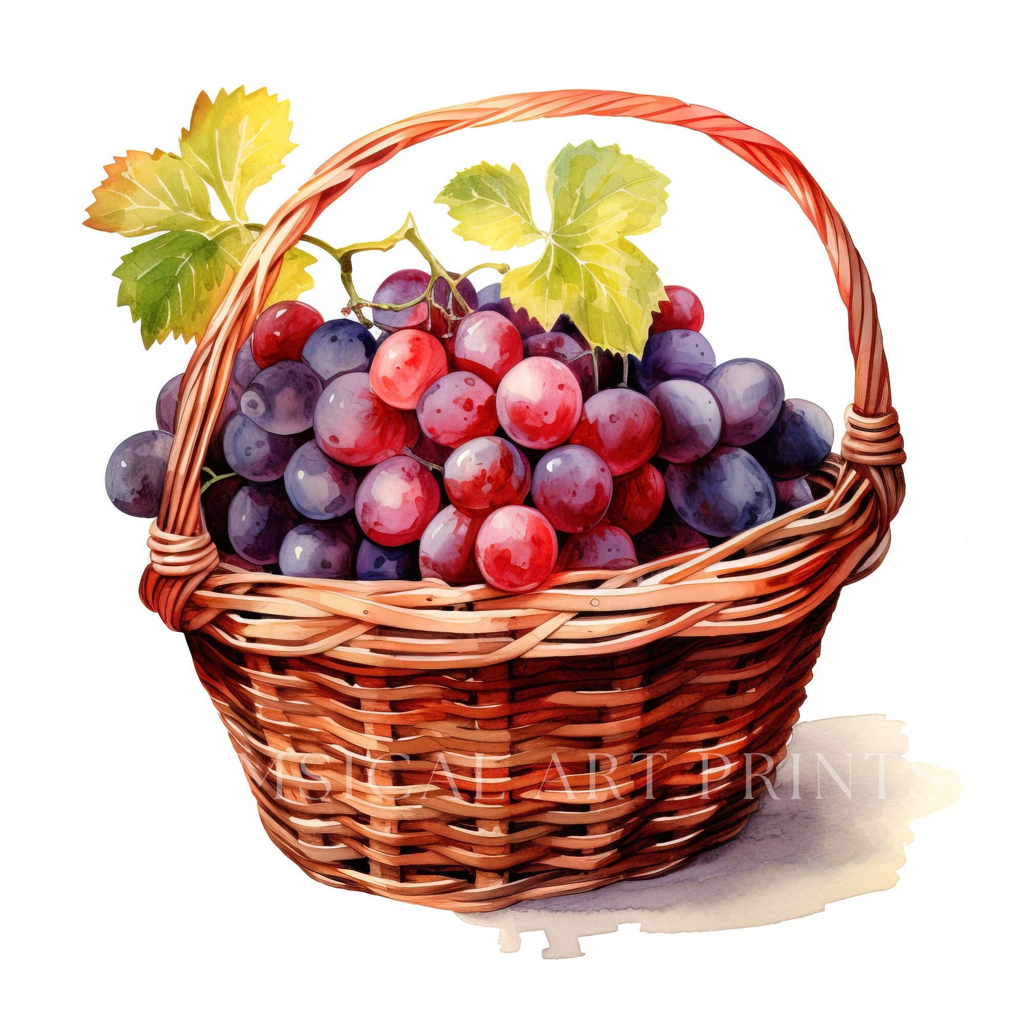 Grapes Clipart, Grape Juice, Fruit Clipart, Watercolor Grapes, Art ...