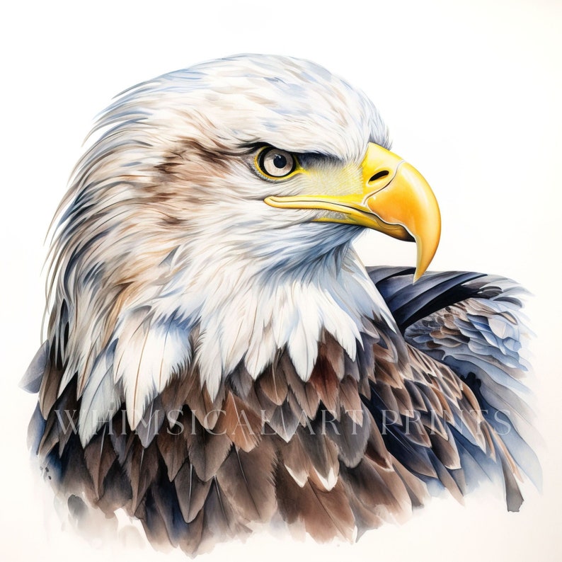 Bald Eagle Clipart, Bird Clipart, Watercolor Bald Eagle, Symbol Eagle ...