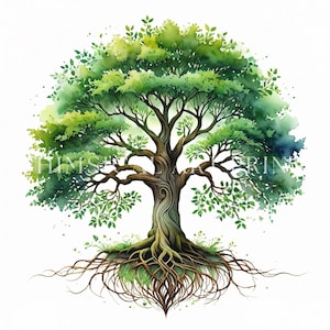 Mystical Old Tree Clipart: Intricate Family Tree Designs (JPG, PNG ...