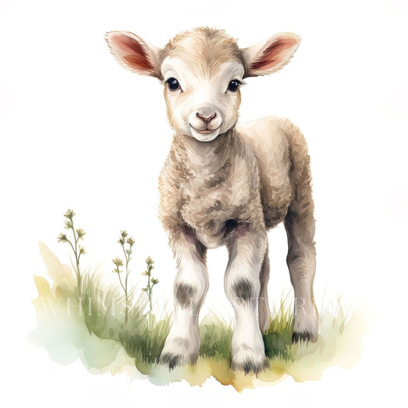 Cute Lamb Clipart, Young Sheep PNG, Cute Lamb Illustration, Watercolor ...