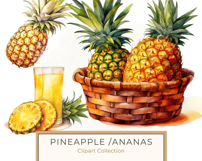 Funny Summer Pineapple Clipart Bundle, 25 Fruit Graphics, Pineapple Png ...