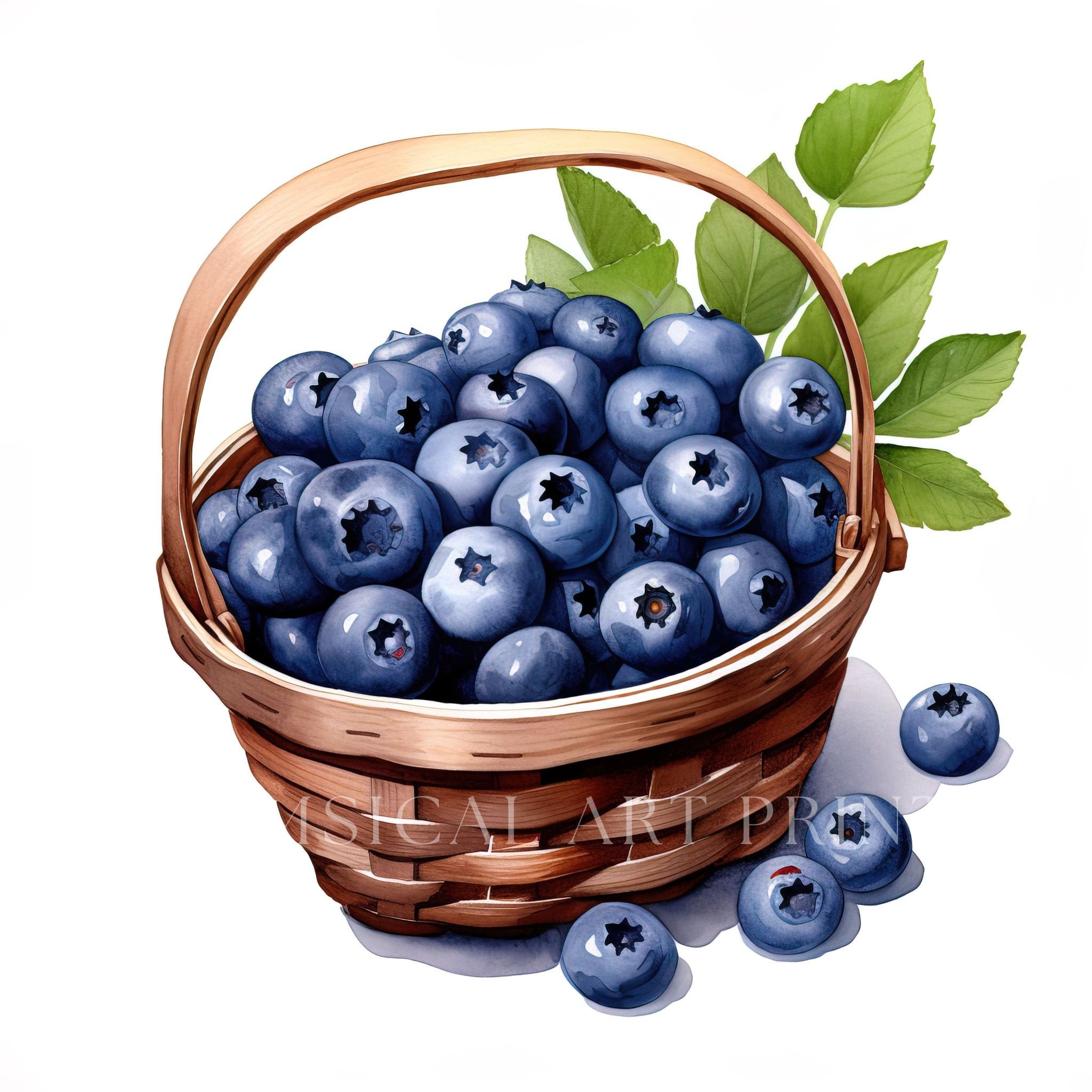 Blueberries Clipart, Blueberry in a Basket, Berries Clipart, Watercolor ...