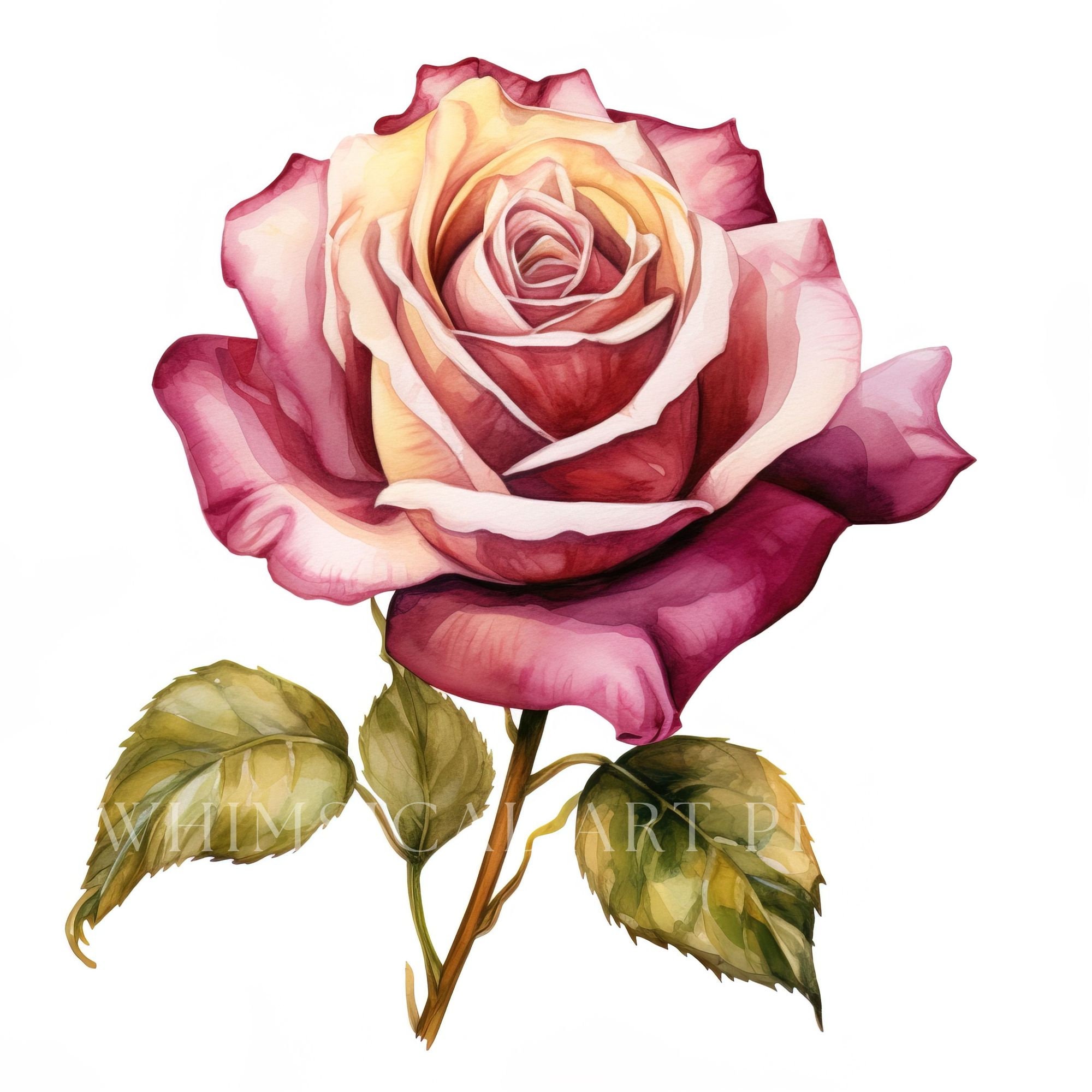 Burgundy Roses Bouquet Clipart, Watercolor Red Roses PNG, Wedding Art ...