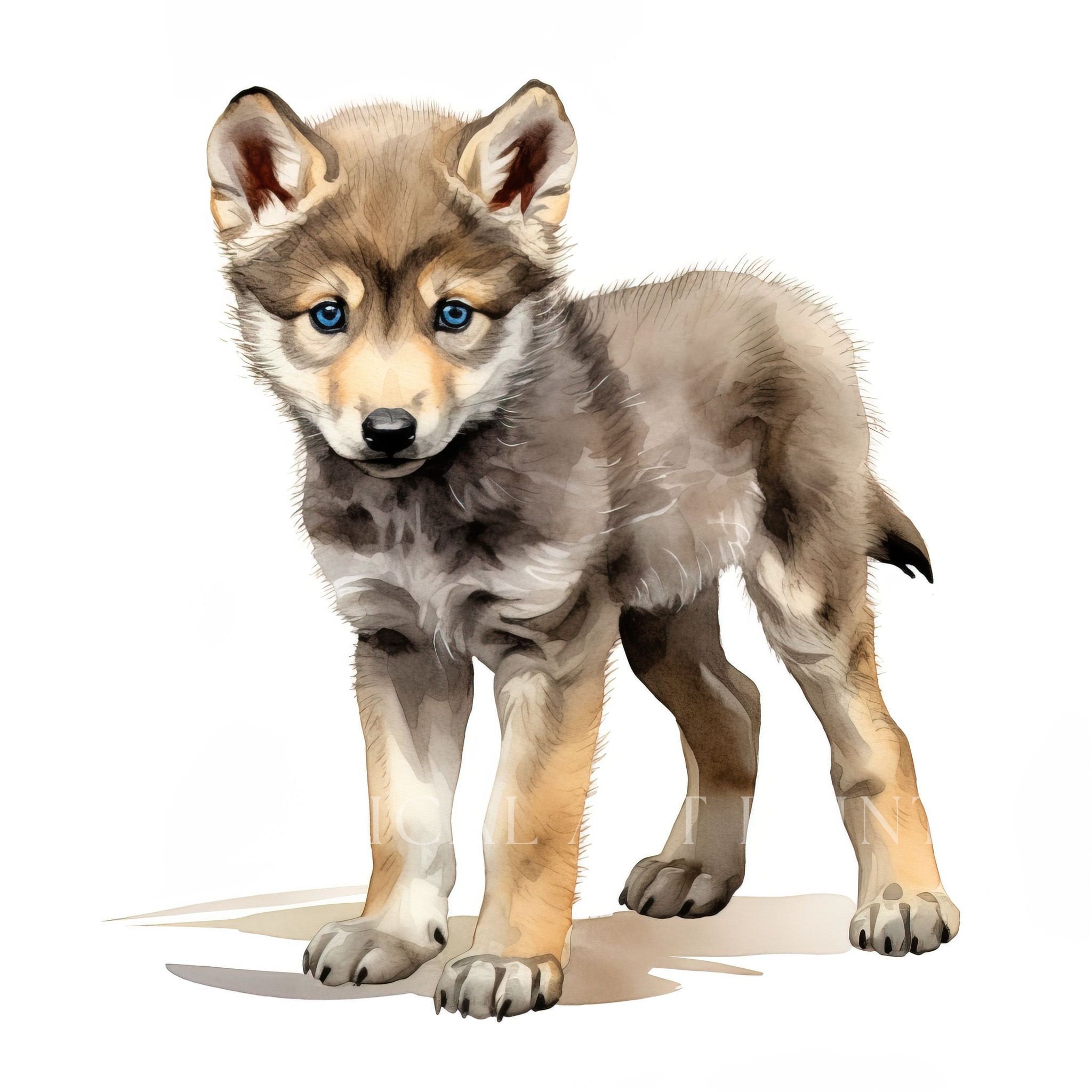 Wolf Puppy PNG, Watercolor Baby Wolf Clipart, Wolf Puppy Portrait, Wall ...
