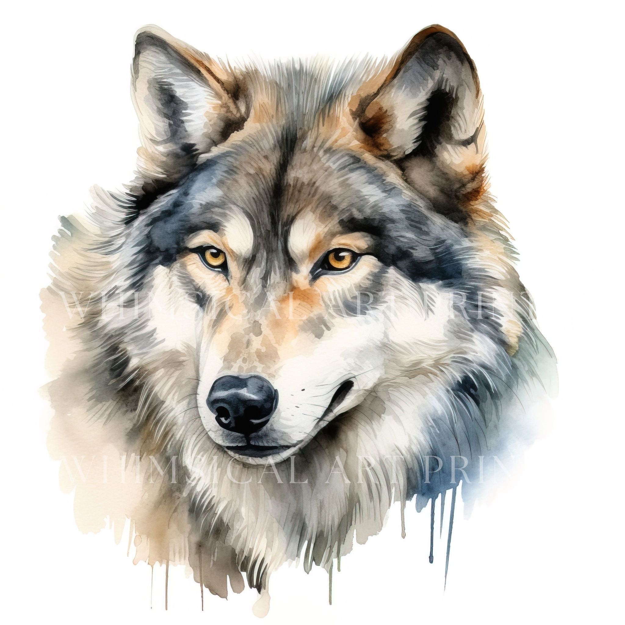 Adult Wolf PNG, Watercolor Wolf Clipart, Watercolor Wolf Portrait, Wall ... Adult Wolf PNG, Watercolor Wolf Clipart, Watercolor Wolf Portrait, Wall ...