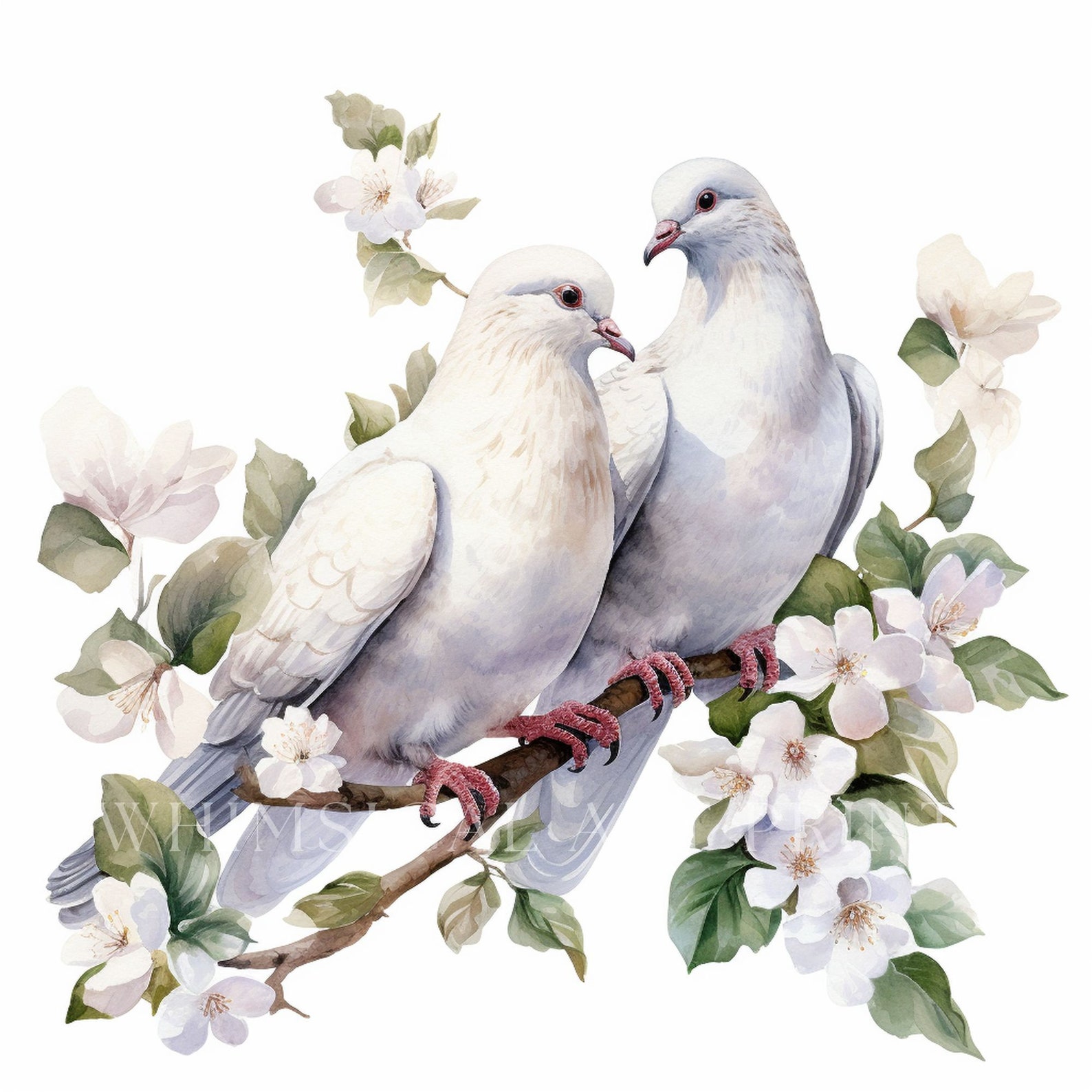 Dove Clipart, A Pair of White Doves on Flowery Branch Art Peaceful Bird ...