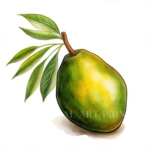 Mango Fruit Clipart, Mangoes Fruit Basket, Mango Juice Clipart ...