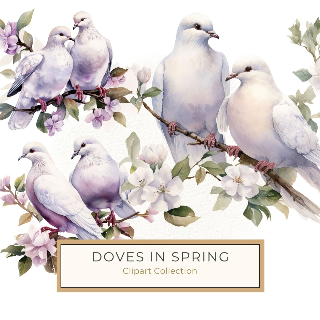 Dove Clipart, A Pair of White Doves on Flowery Branch Art Peaceful Bird ...