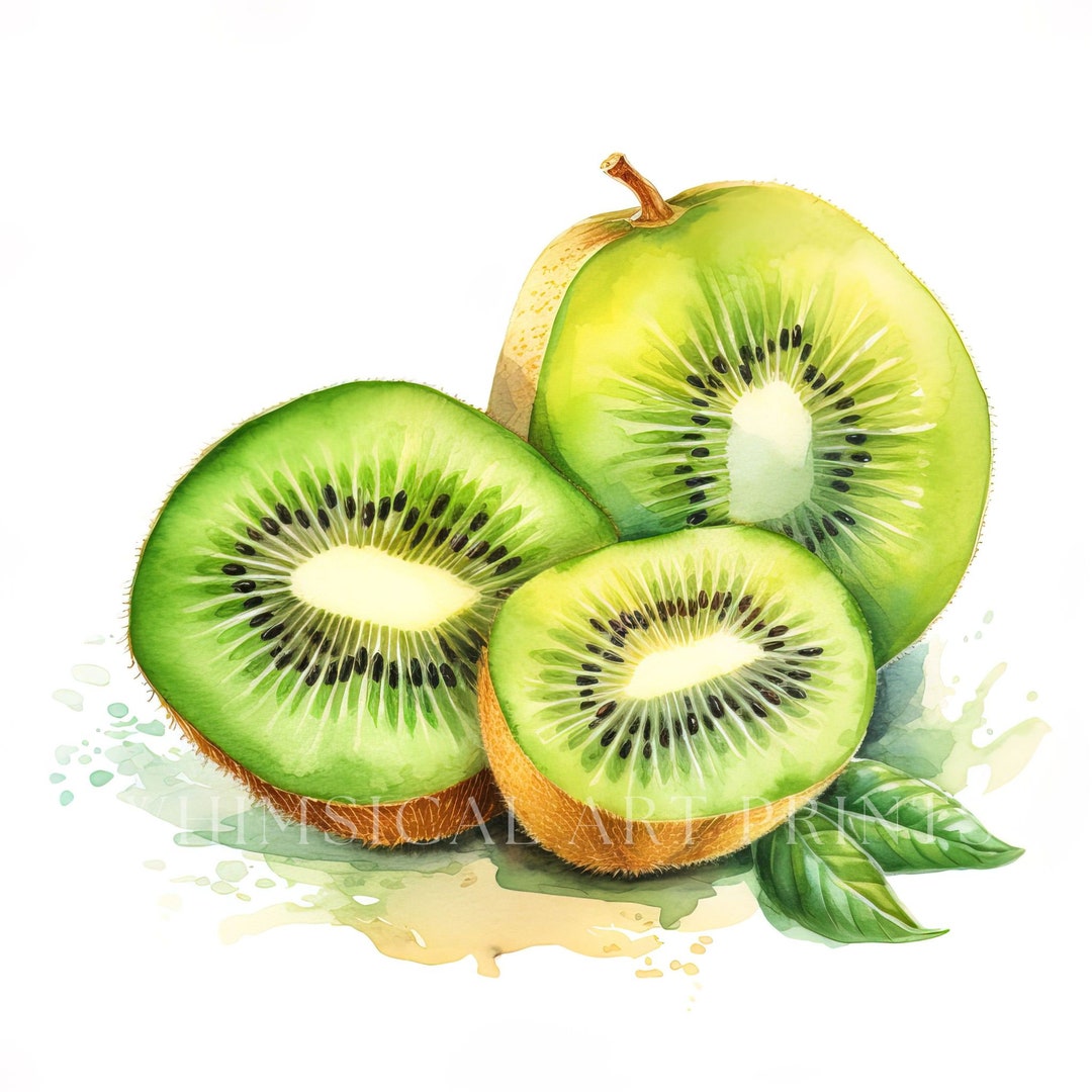 Kiwi Fruit Clipart Kiwi Fruit Basket Kiwi Fruit Juice - Etsy
