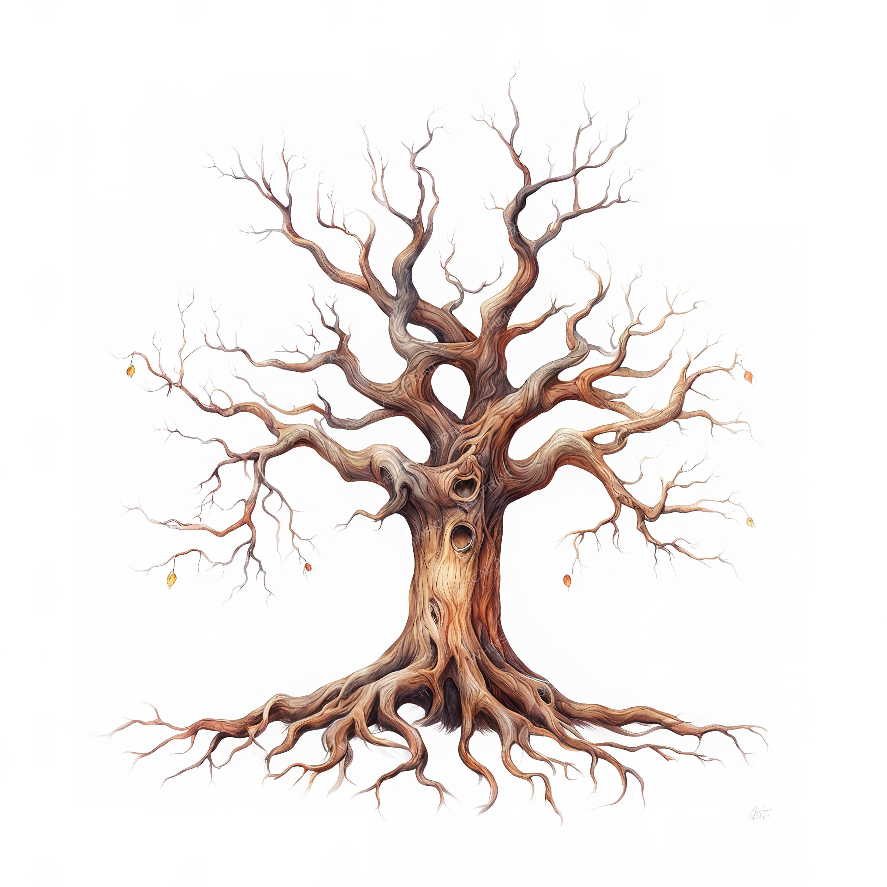 Mystical Leafless Tree Clipart: Ancestry Tree Digital Art (JPG, PNG) - Etsy