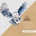 Snowy Owl Clipart, Bird Clipart, Watercolor Snowy Owls, Owls ...