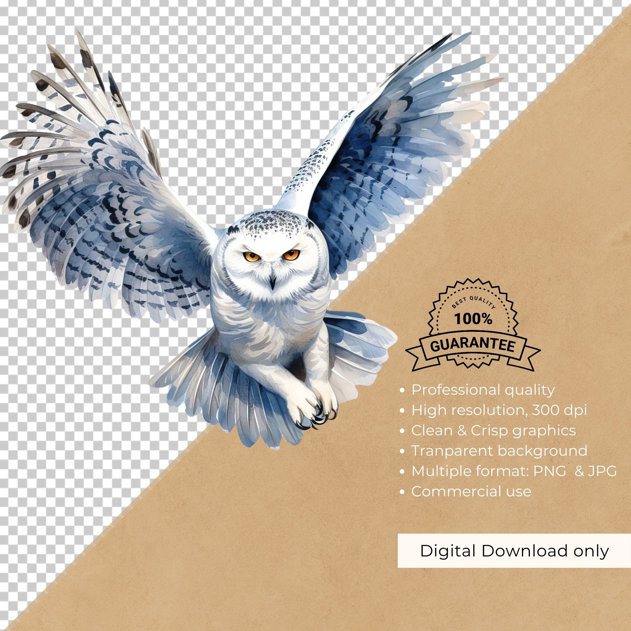 Snowy Owl Clipart, Bird Clipart, Watercolor Snowy Owls, Owls ...