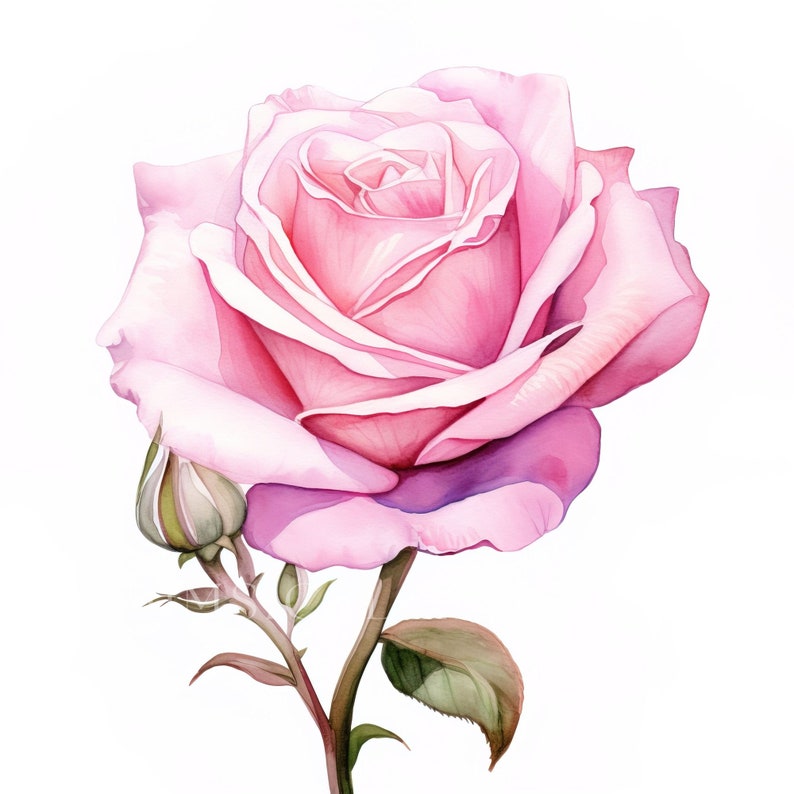 Pink Rose Clipart, Rose Bouquet Clipart, Watercolor Pink Roses, Wedding ...