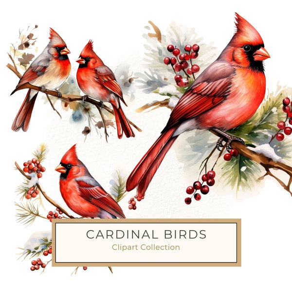 Cardinal Clipart - Etsy