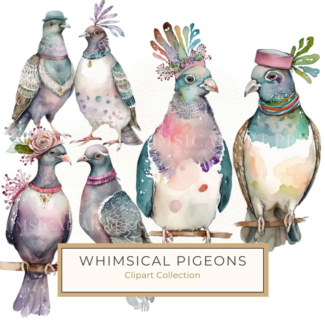 Whimsical Pigeon Clipart, Watercolor Pigeons PNG, Fun Quirky Bird Clip ...