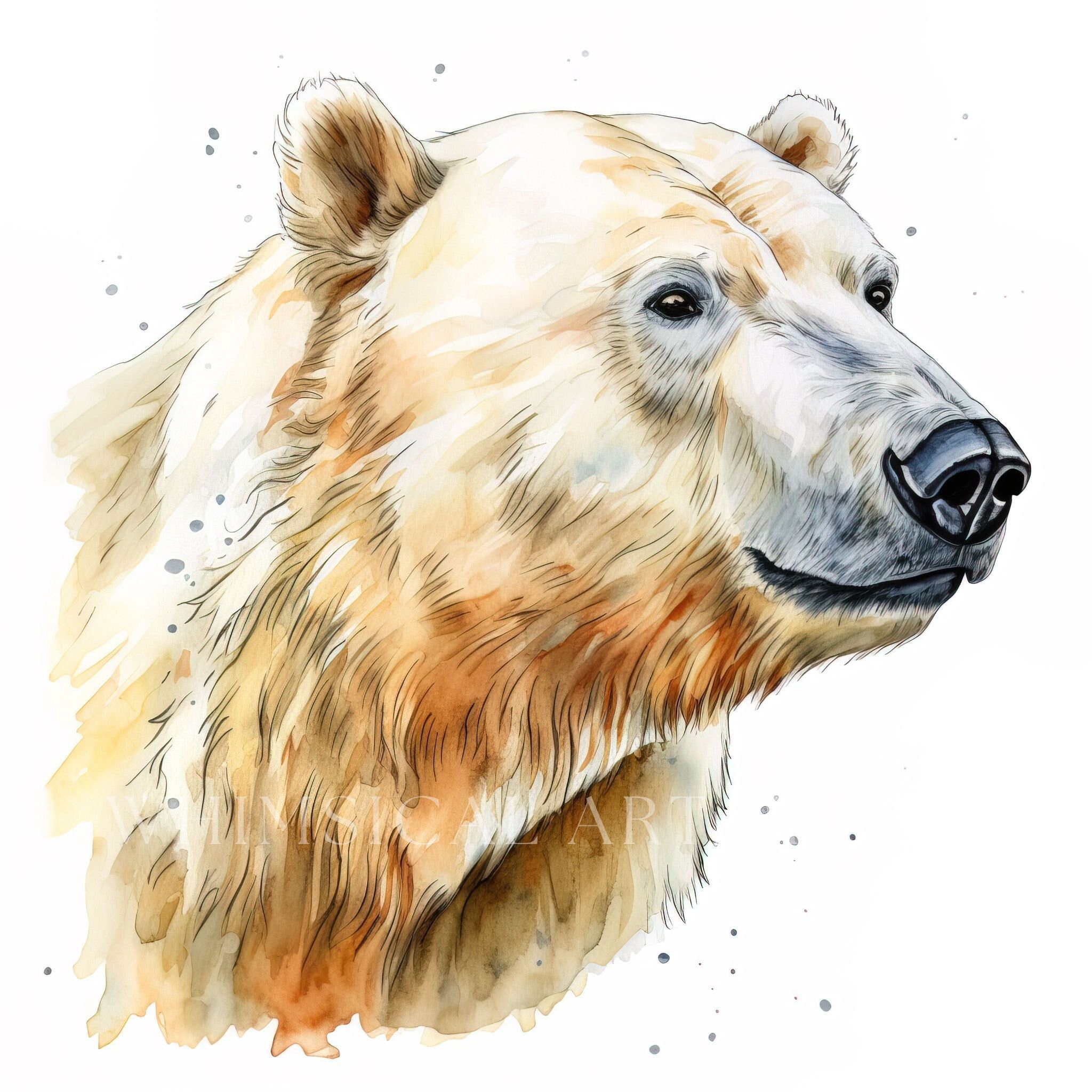 Polar Bear Clipart, Watercolor Polar Bear PNG, Polar Bear Watercolor ...