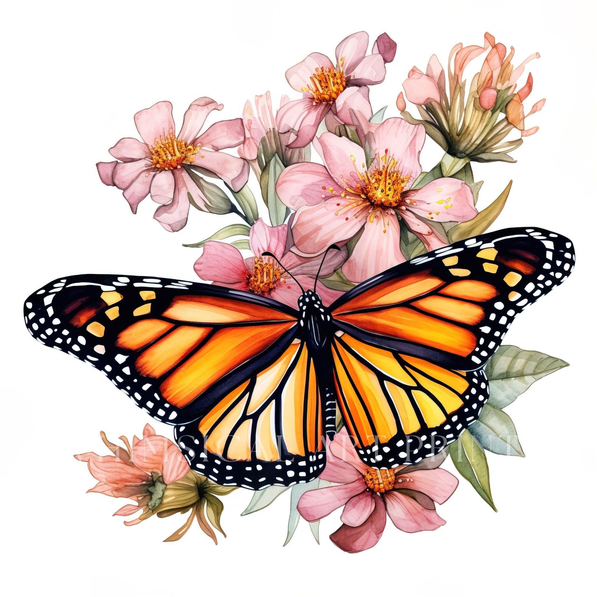 Monarch Butterfly Clipart, Close-up Illustration, Watercolor Clipart ...