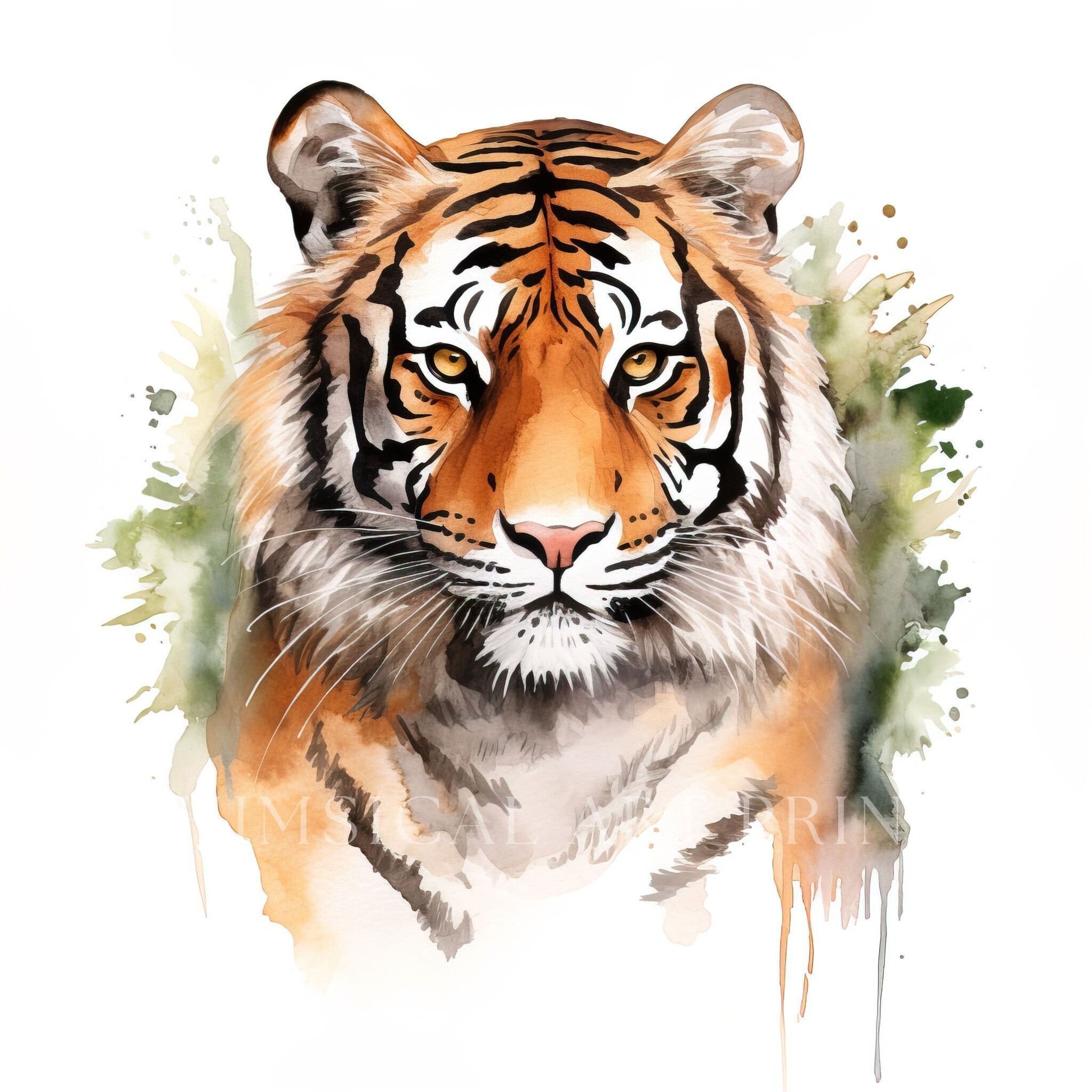 Adult Tiger PNG, Watercolor Tiger Clipart, Tiger Portrait, Tiger Wall ...