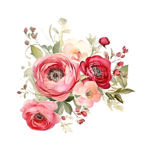 Pink Ranunculus Clipart, Ranunculus Watercolor Flower Bouquet, Pink ...