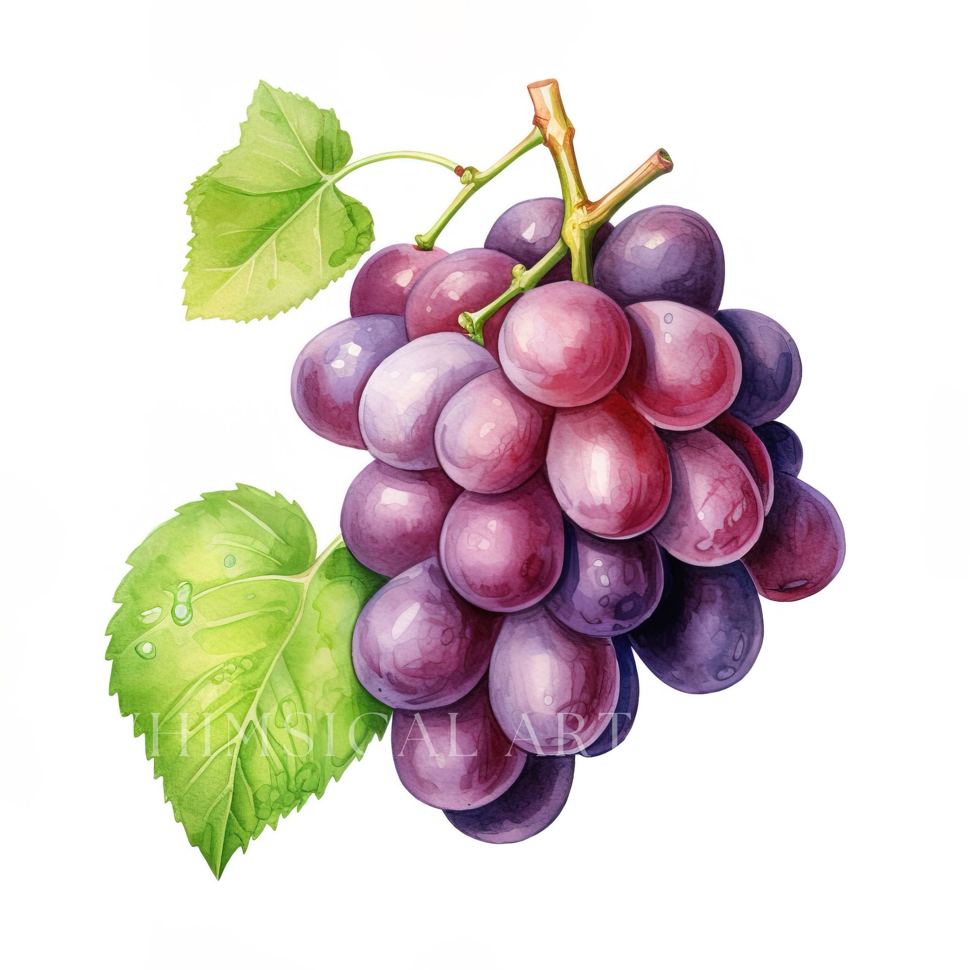 Grapes Clipart, Grape Juice, Fruit Clipart, Watercolor Grapes, Art ...