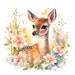 Deer PNG, Fawn baby Deer Clipart, Young Deer in Spring Watercolor Art ...