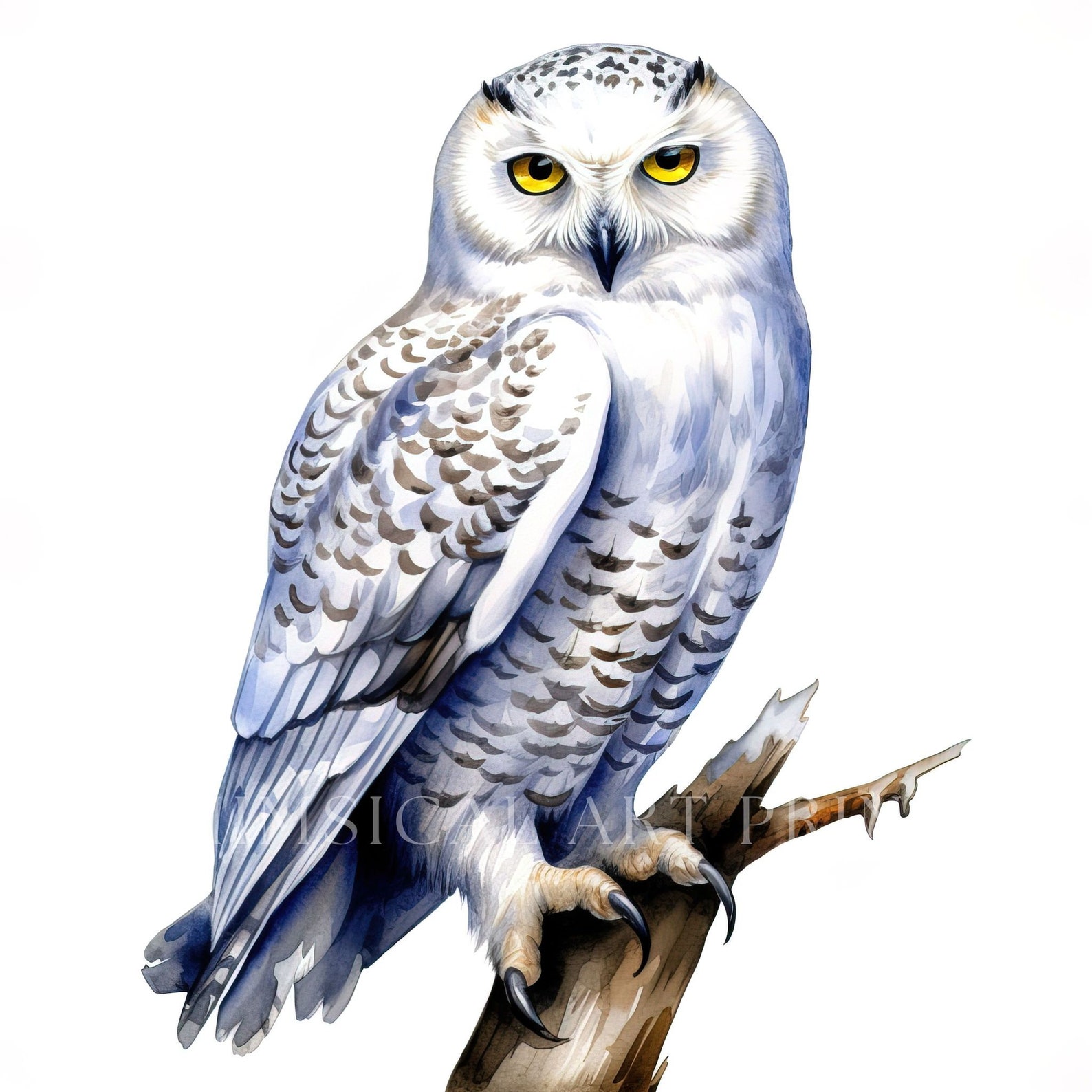 Snowy Owl Clipart, Bird Clipart, Watercolor Snowy Owls, Owls ...