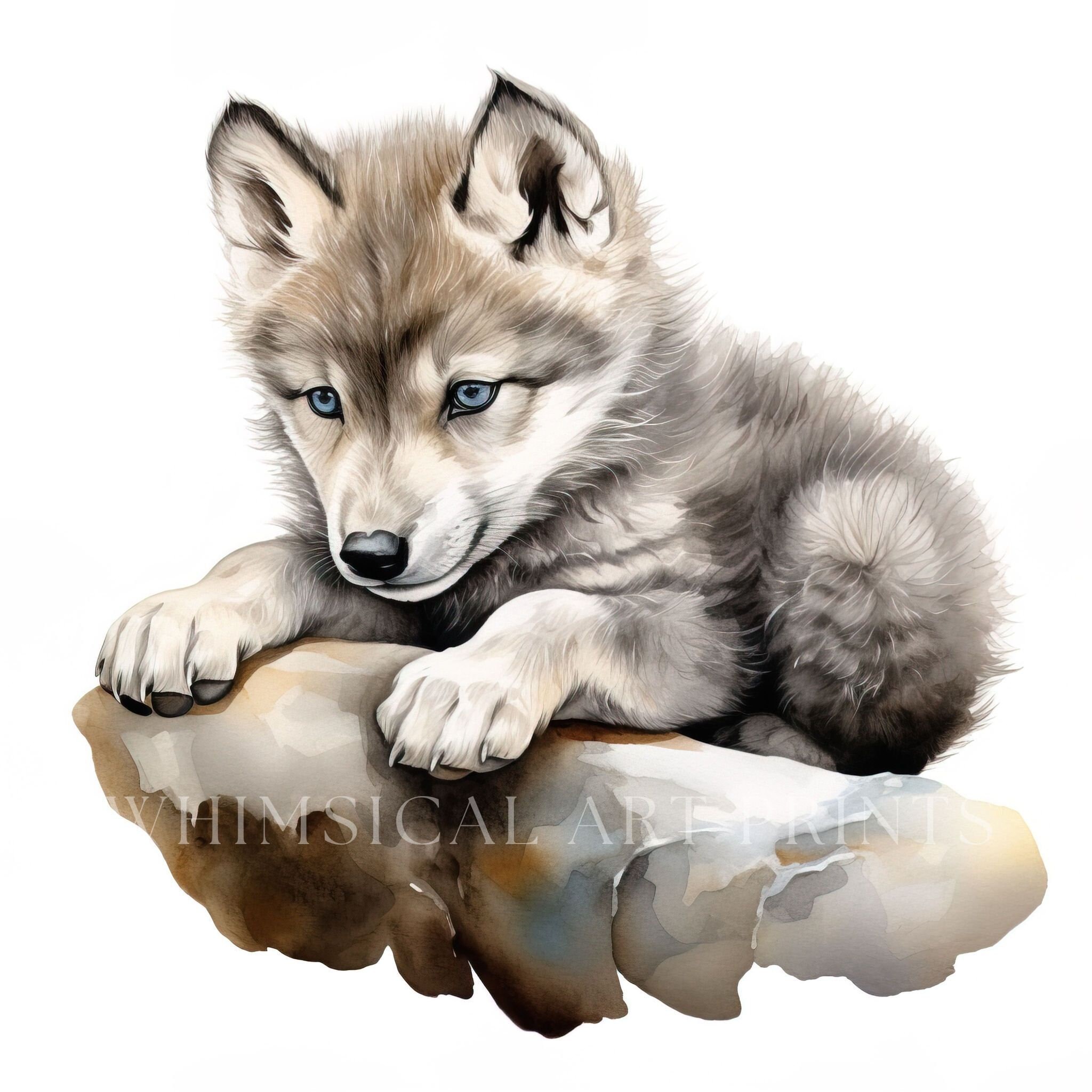 Wolf Puppy PNG, Watercolor Baby Wolf Clipart, Wolf Puppy Portrait, Wall ...
