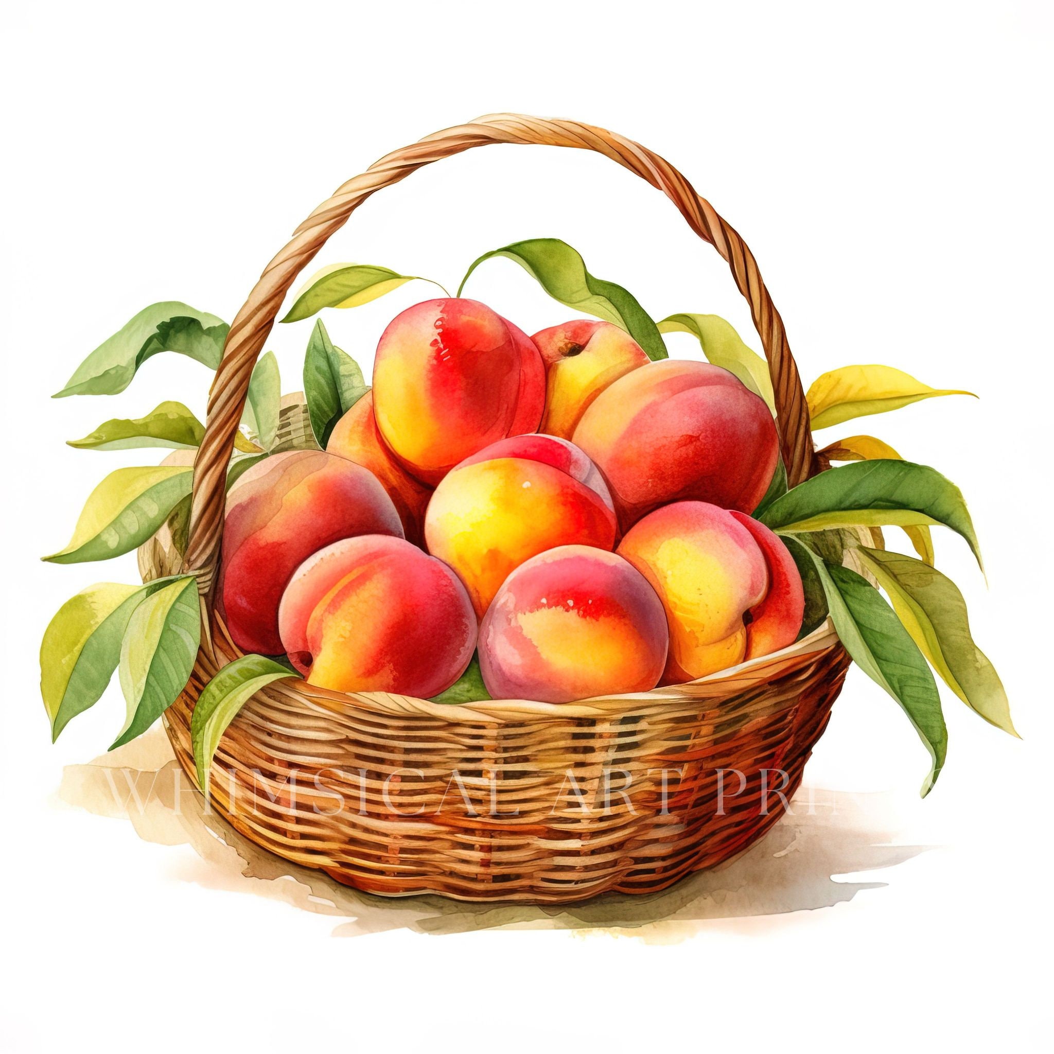 Watercolor Peach Basket Illustration: Rustic DIY Clipart (JPG, PNG) - Etsy