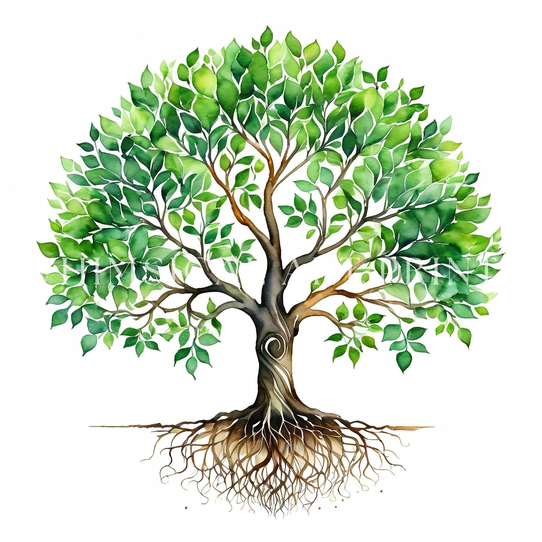 Mystical Old Tree Clipart Collection: Intricate Designs for Family ...