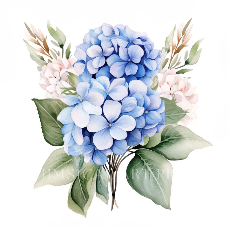 Blue Hydrangeas Clipart, Hydrangea Bouquet PNG, Hydrangea Watercolor ...