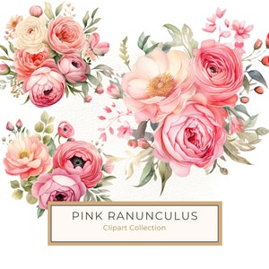 Pink Ranunculus Clipart, Ranunculus Watercolor Flower Bouquet, Pink ...