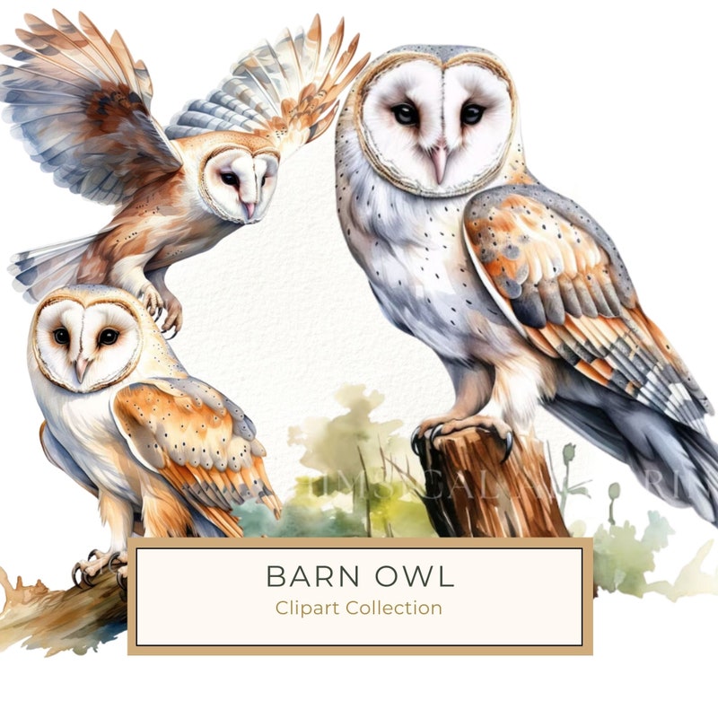 Owl Clipart - Etsy