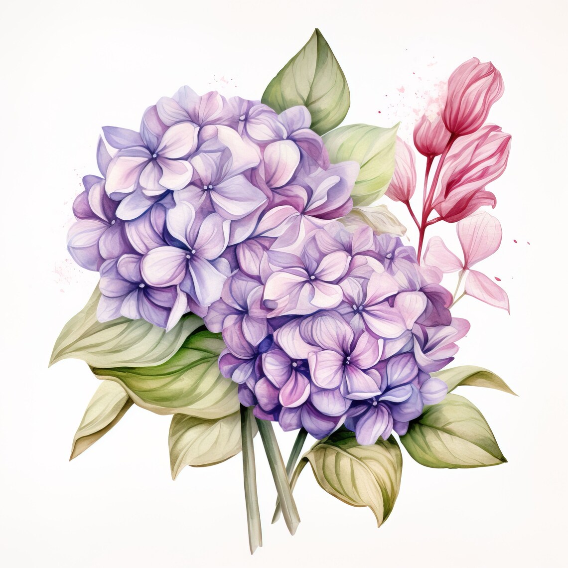 Purple Hydrangeas Clipart, Hydrangea Flowers, Bouquet Clipart ...