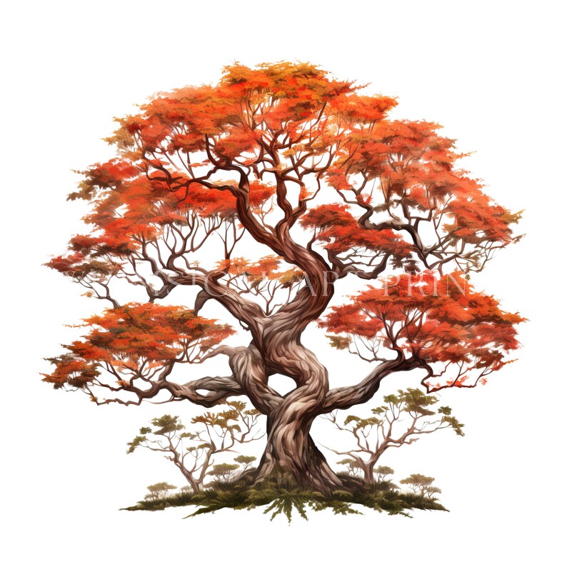 Autumn Mystical Old Tree Clipart, Old Tree PNG, Earthly Warm Colors ...
